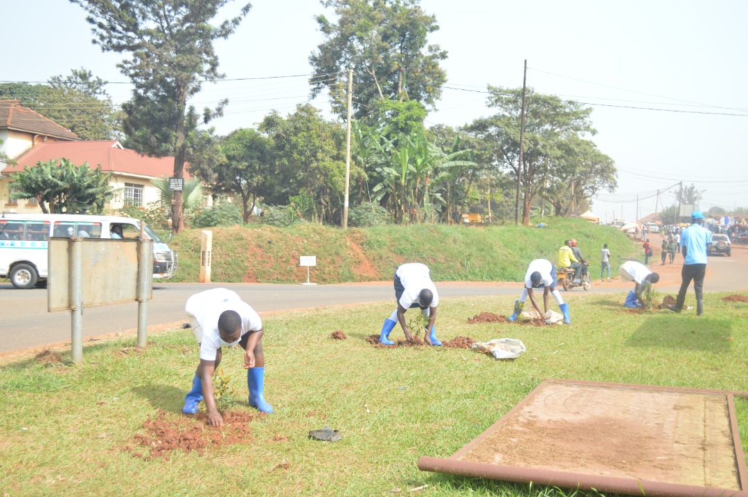 Greenwatch Photo Stream | Greenwatch